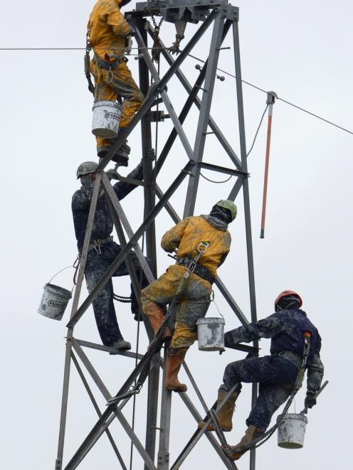 Painting pylons a tall order | Otago Daily Times Online News
