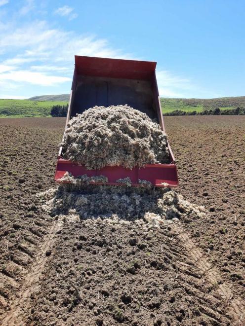 ‘Finally we will have some cohesion’ | Otago Daily Times Online News