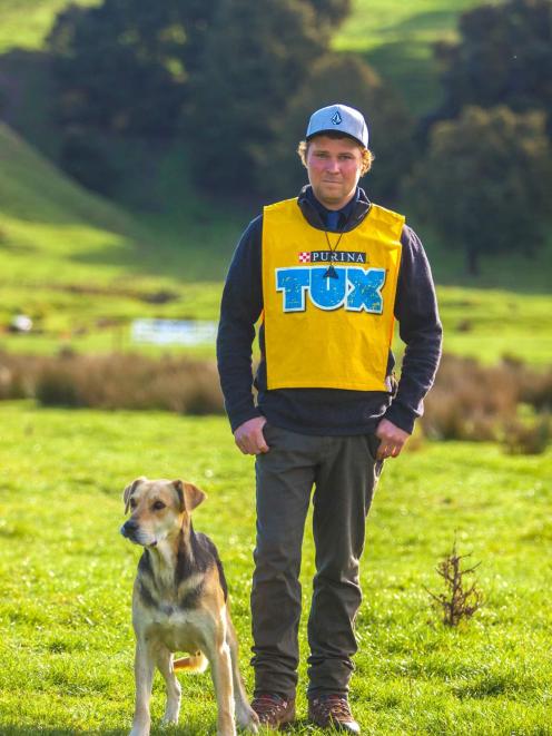 Where there is risk, there is reward | Otago Daily Times Online News