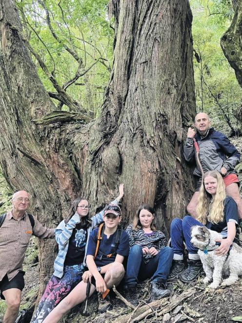 New Ashley Gorge Totaranui Track opens | Star News