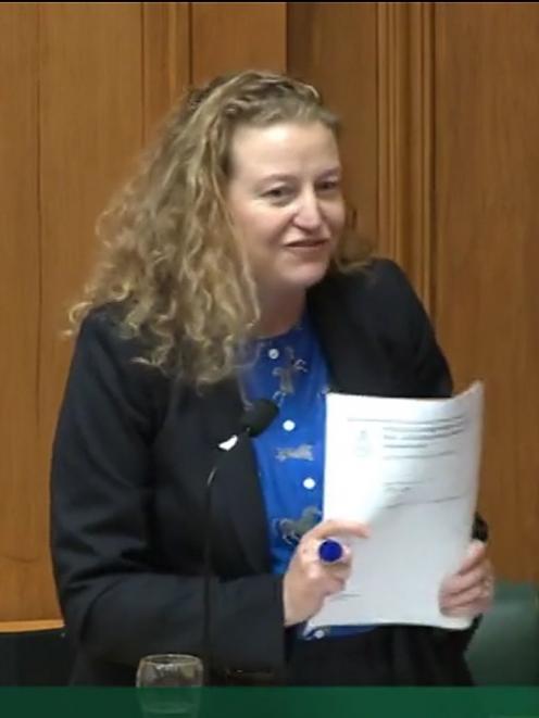 Brooking puts name forward for seat | Otago Daily Times Online News