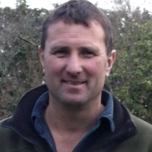 Wheat thrives in dry conditions | Otago Daily Times Online News