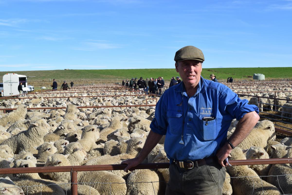 13,000 lambs sold at last muster sale | Otago Daily Times Online News