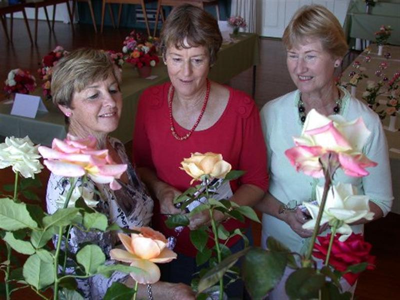Societies vie in war of roses | Otago Daily Times Online News