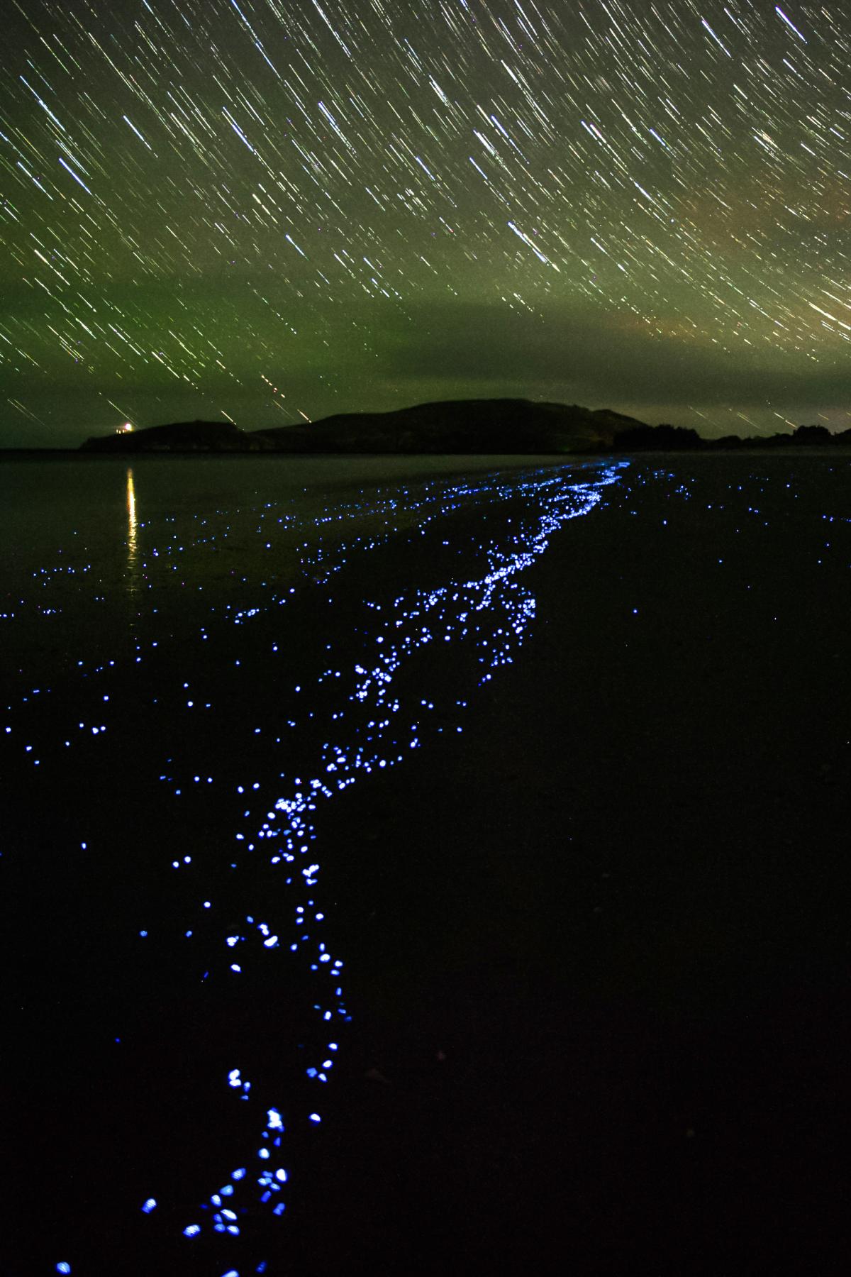 Dunedin night sky impresses again | Otago Daily Times Online News