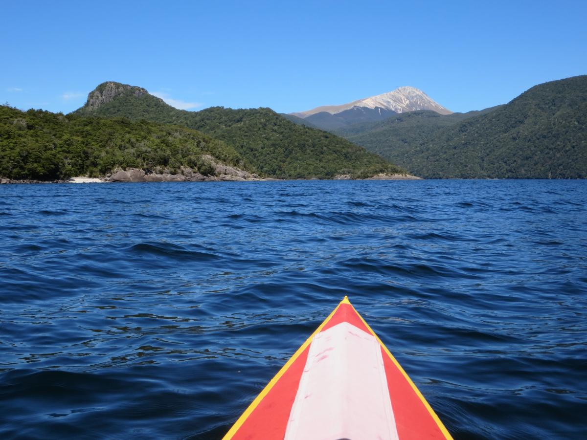 Armed with a paddle | Otago Daily Times Online News