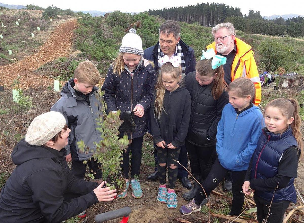 Planting the dunes | Otago Daily Times Online News