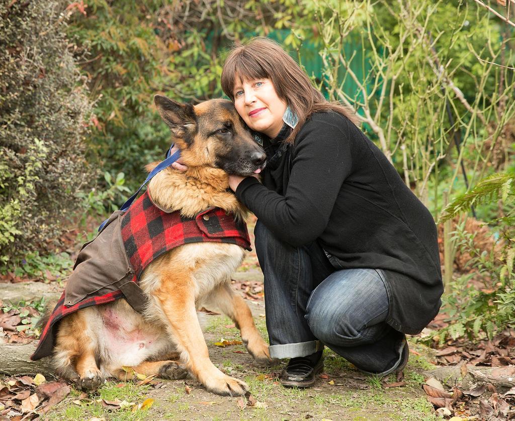 'Bleeding everywhere': Alsatian attacked by unrestrained dogs | Otago ...