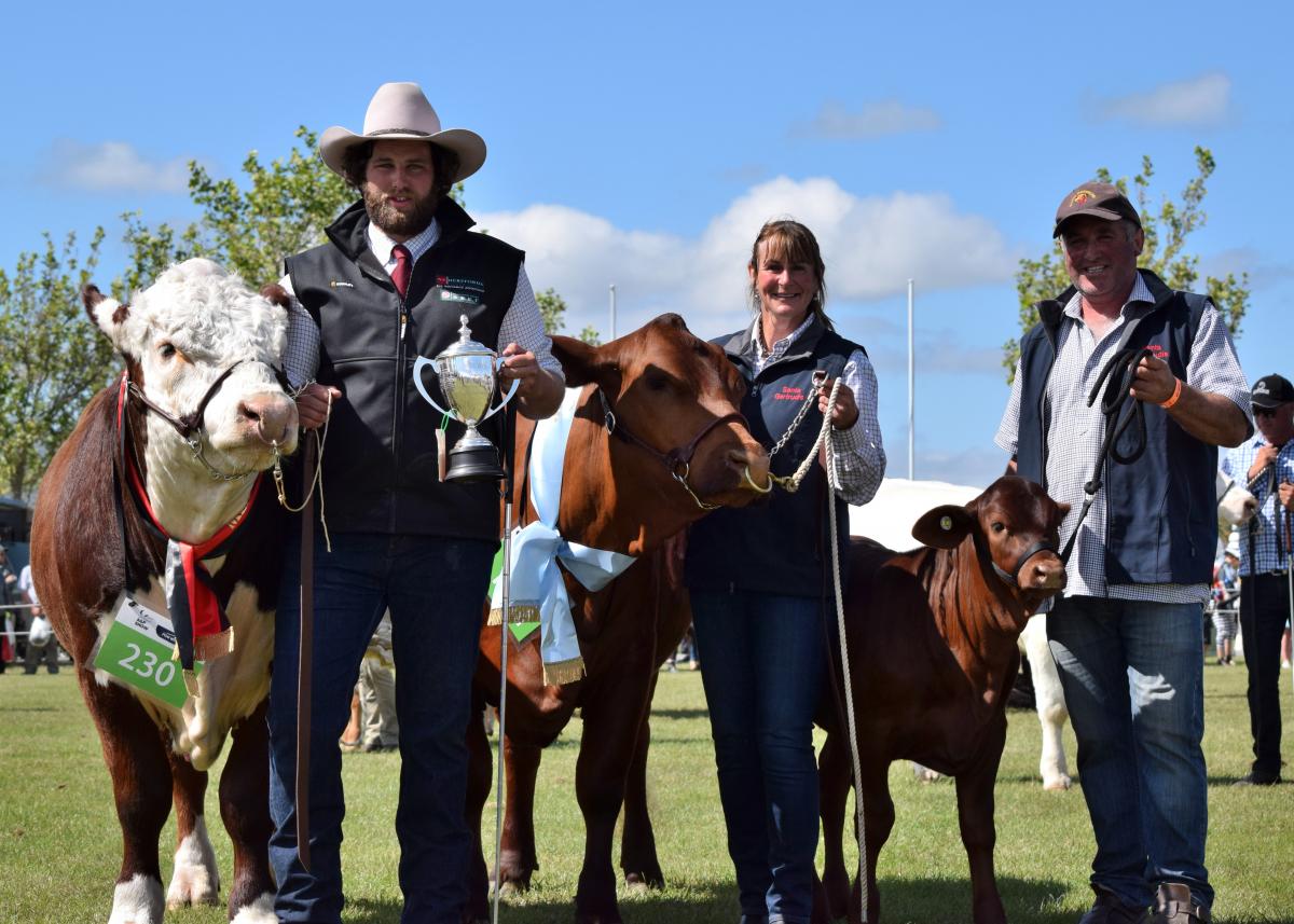 Breeding about genetics, delivering the best possible returns | Otago ...