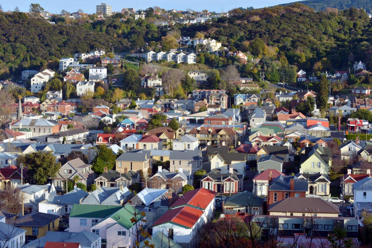 Kate Hawkesby: Who'd be a landlord in Dunedin? | Otago Daily Times ...