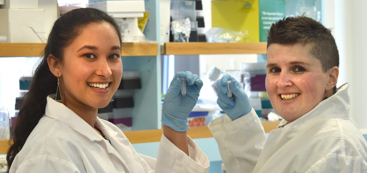 Exploring pest control through genetics | Otago Daily Times Online News