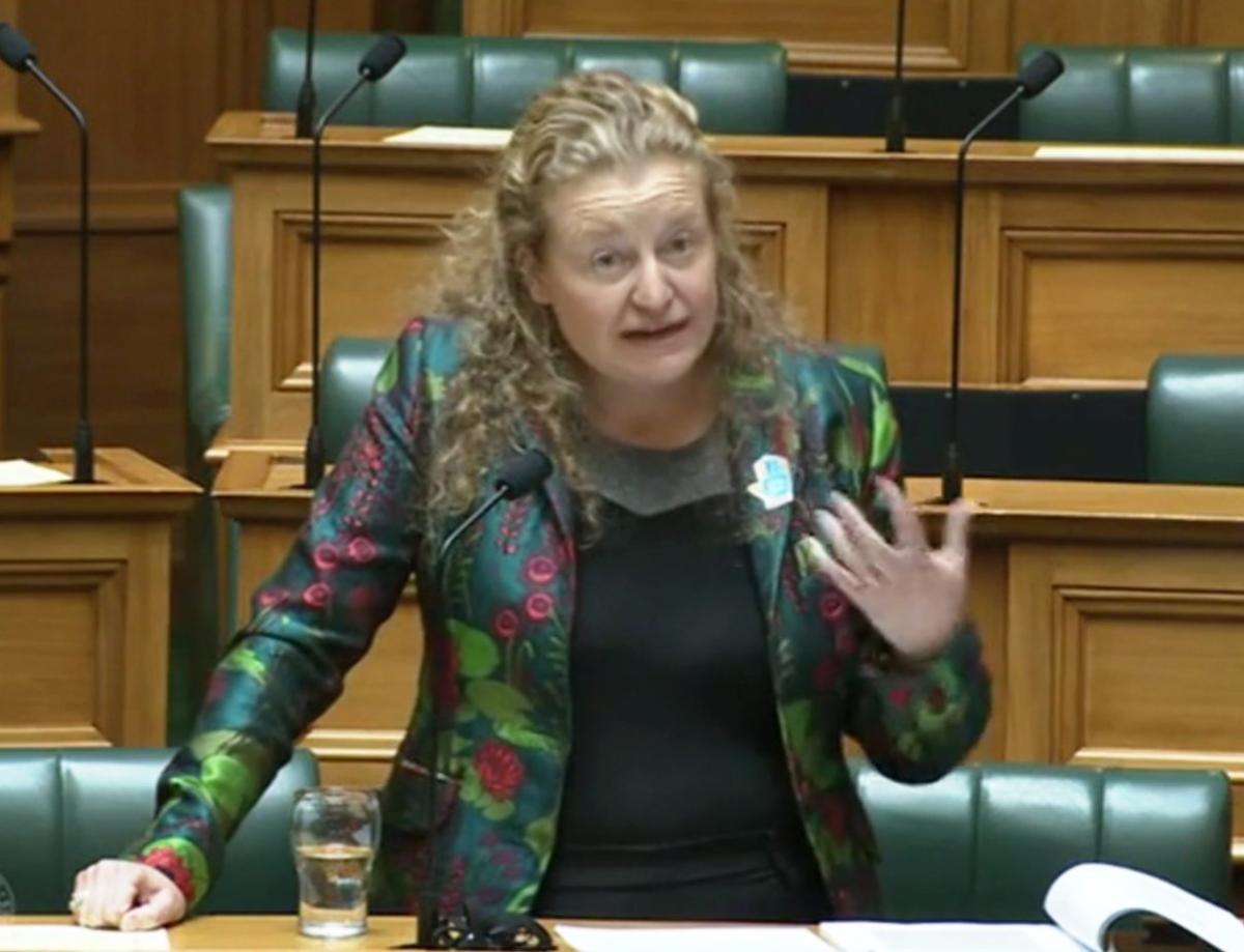 One day in Parliament: 3 specialist subjects | Otago Daily Times Online ...