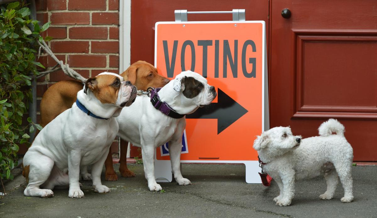 Record low voter turnout on the horizon | Star News