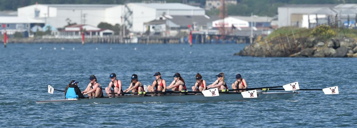 Rowing hard | Otago Daily Times Online News