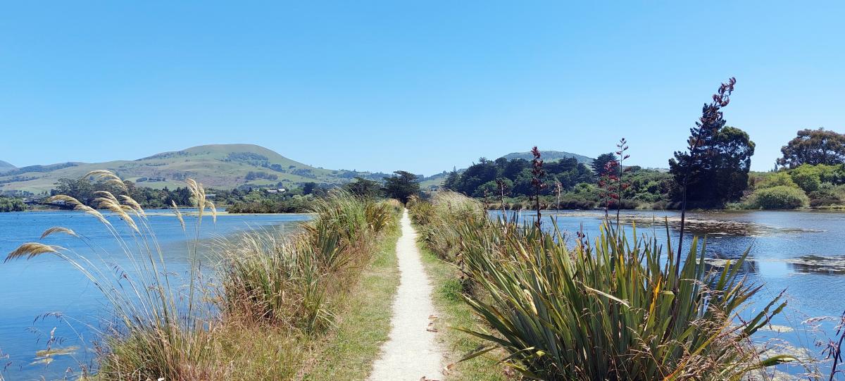 Swoon at the lagoon | Otago Daily Times Online News