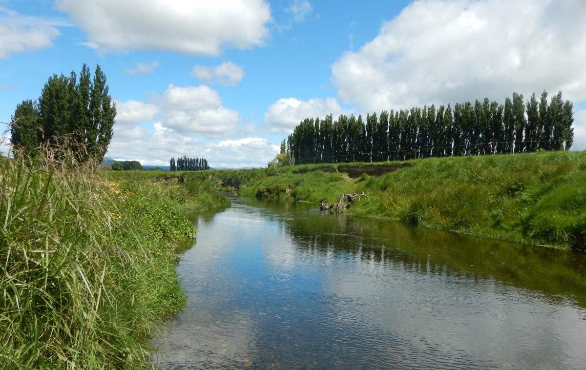 Low river levels halt water takes | Otago Daily Times Online News
