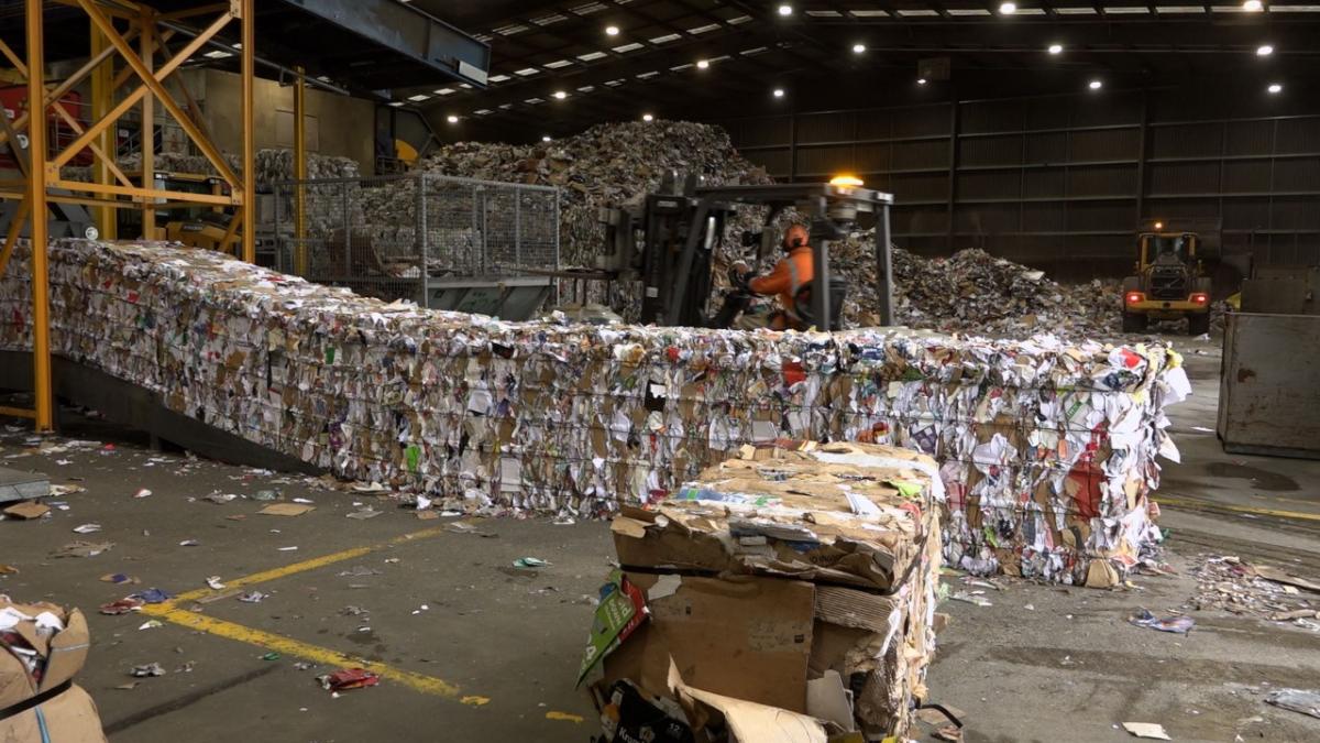 Where does your recycling go? | Star News