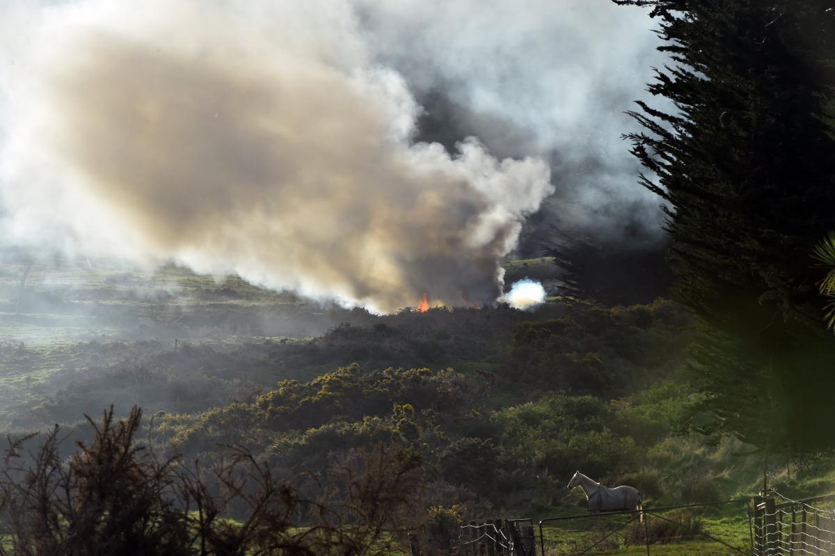 Fire in gorse paddock | Otago Daily Times Online News
