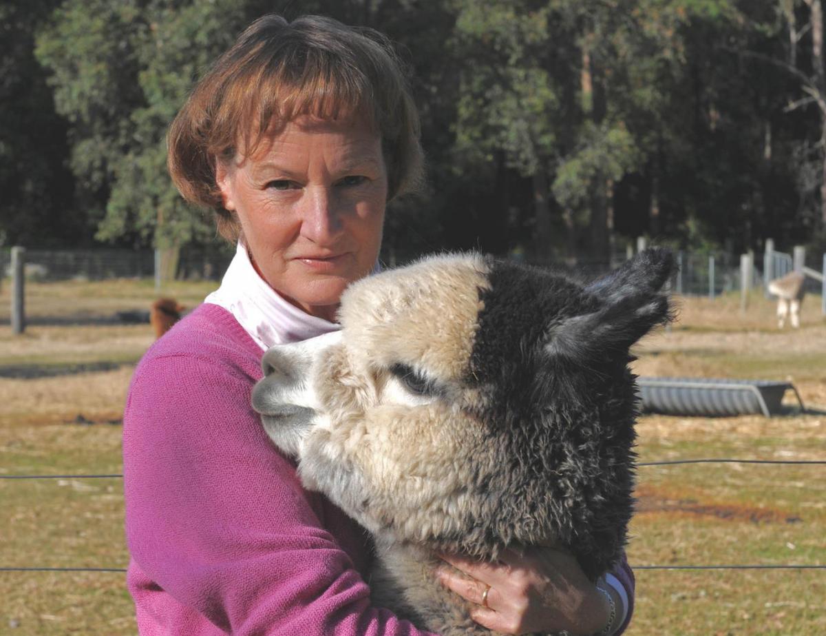 Anne sets historic milestone at Christchurch show | Star News