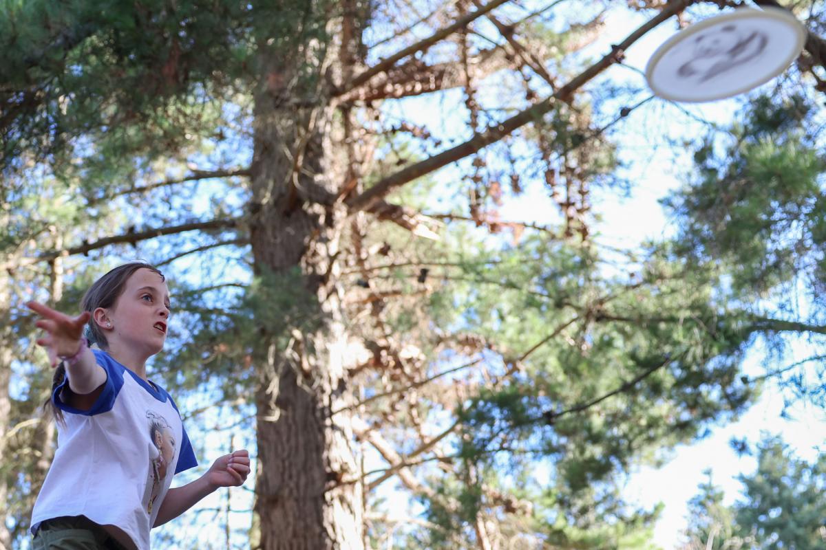 Disc golf taking flight in Waimate | Otago Daily Times Online News