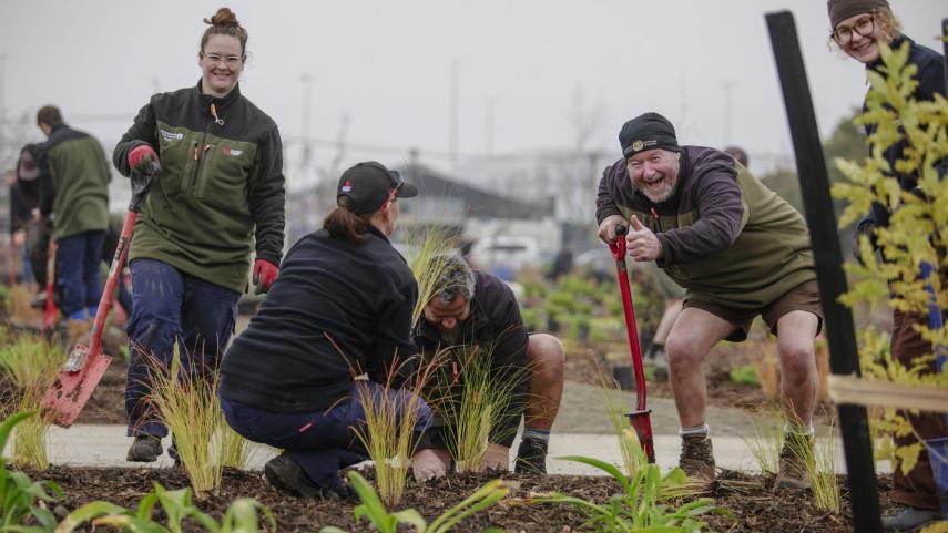 Thousands of native trees planted across city | Star News