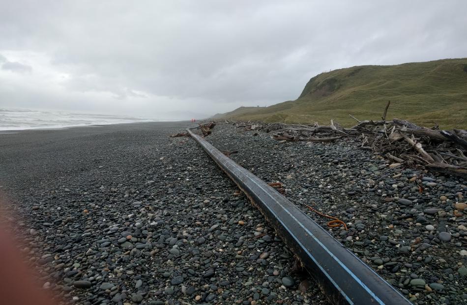 Mysterious object washes up on beach | Otago Daily Times Online News