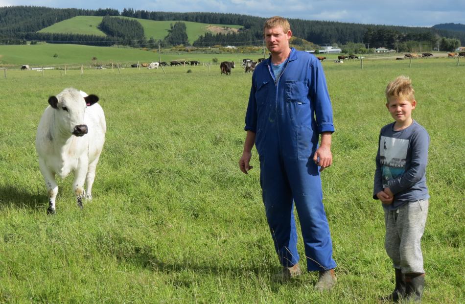 Speckle Park cattle garner attention | Otago Daily Times Online News