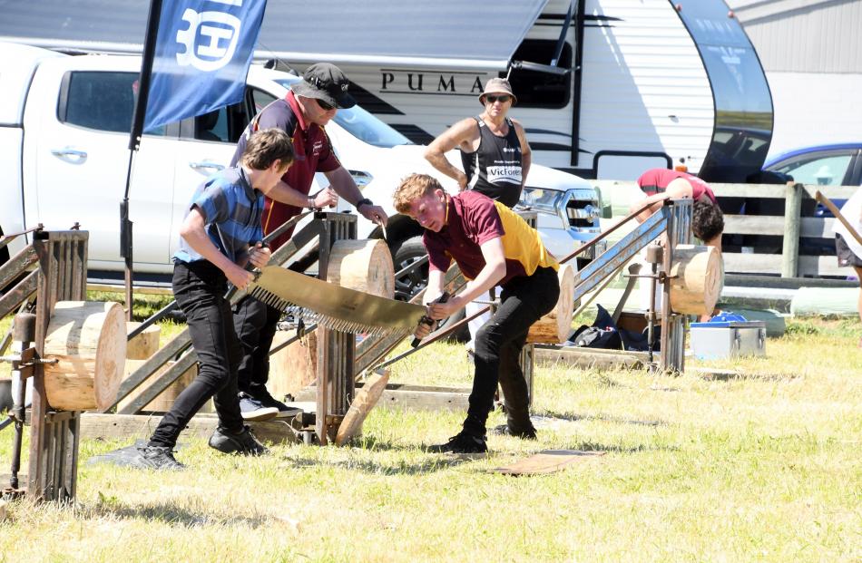 Magic moments: January 6 | Otago Daily Times Online News