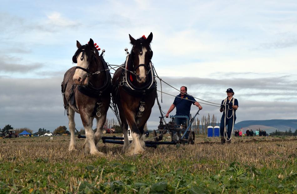 New Zealand 2023 Ploughing Championships | Otago Daily Times Online News