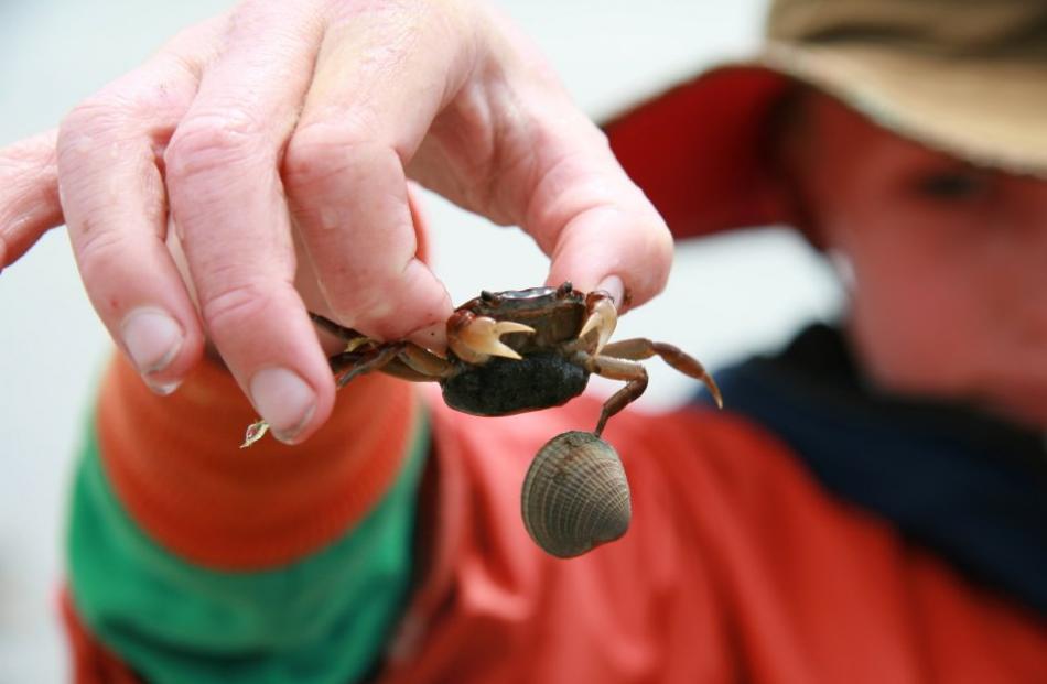 Magic Moments: Pets and other creatures | Otago Daily Times Online News
