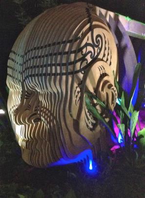 Kiwis pick of bunch | Otago Daily Times Online News