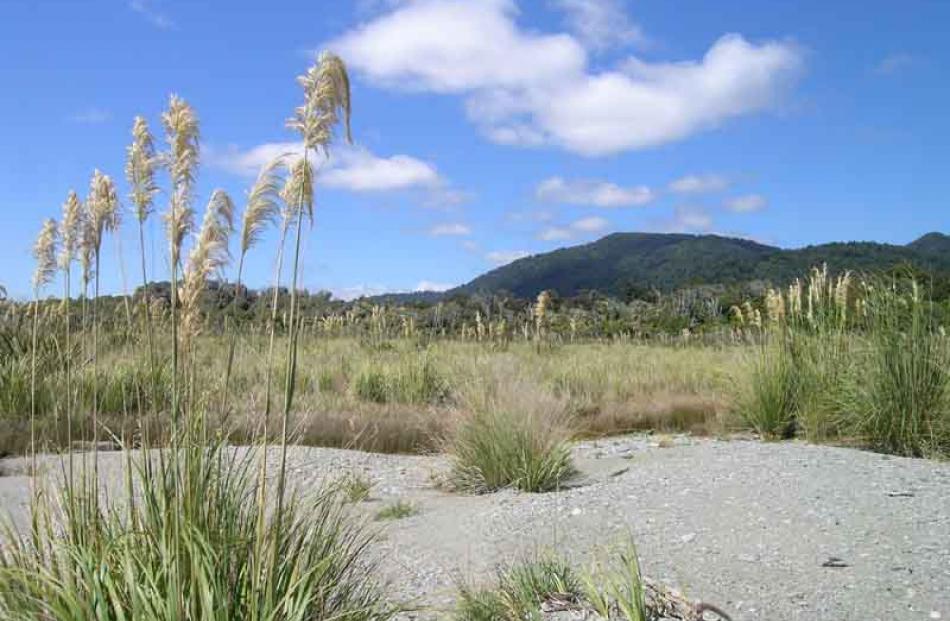 NZ's last frontier: Barn Bay Track | Otago Daily Times Online News
