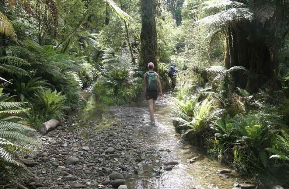 NZ's last frontier: Barn Bay Track | Otago Daily Times Online News