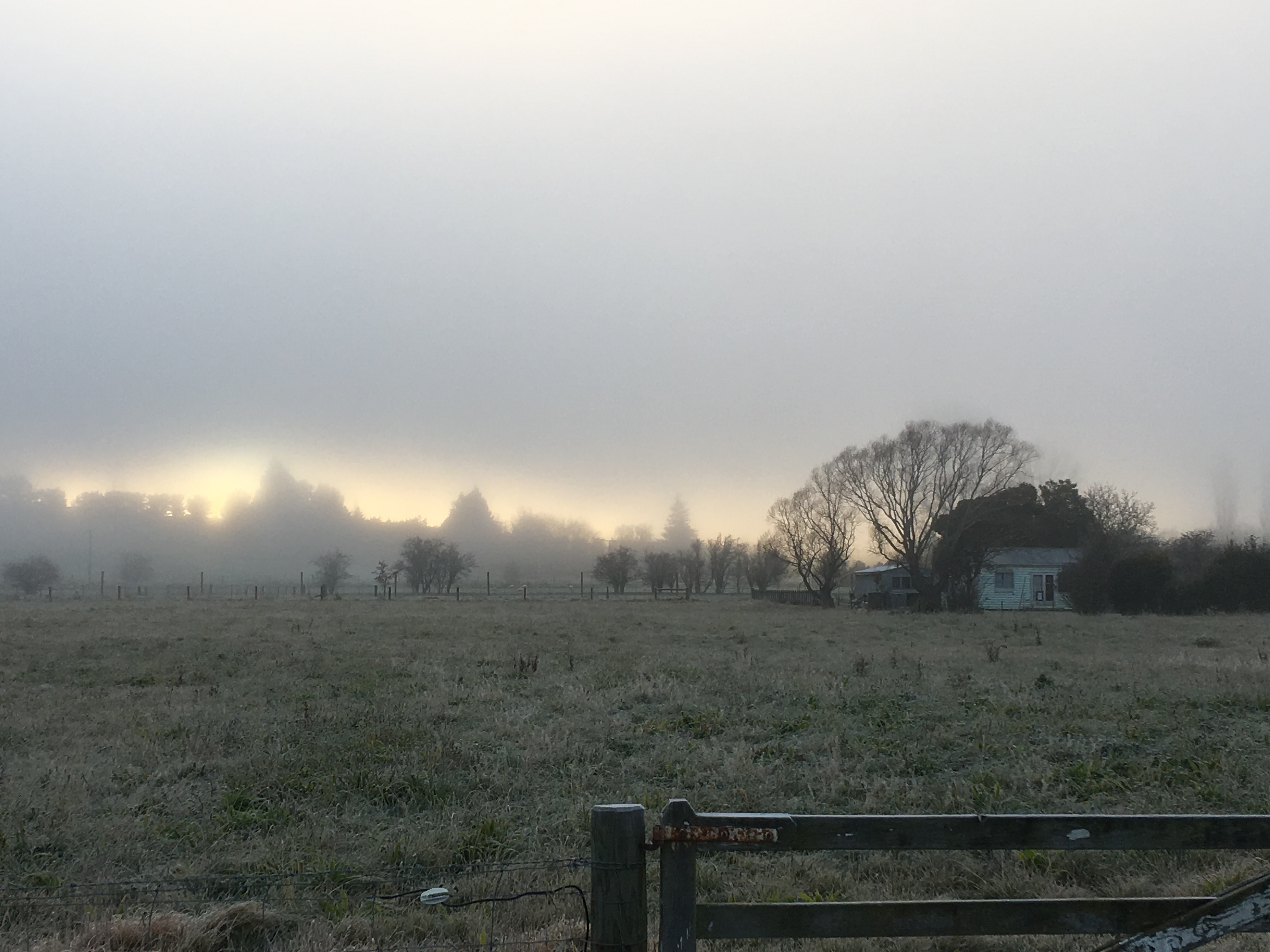 Frosty and foggy South on shortest day | Otago Daily Times Online News