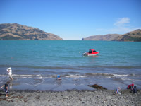 New picnic tables for Banks Peninsula beach | Star News